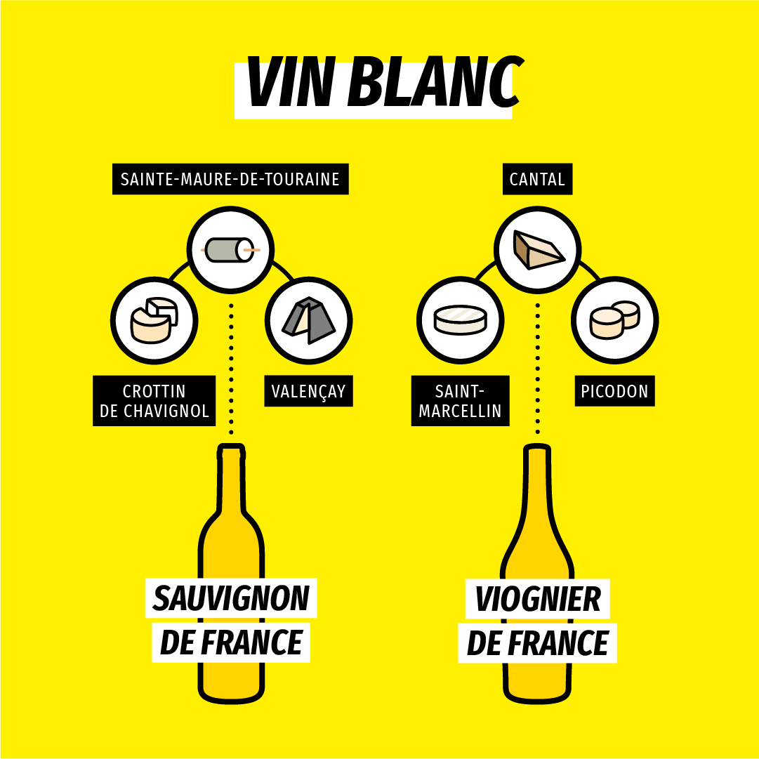 Accords fromages - cépages français | Vinsta